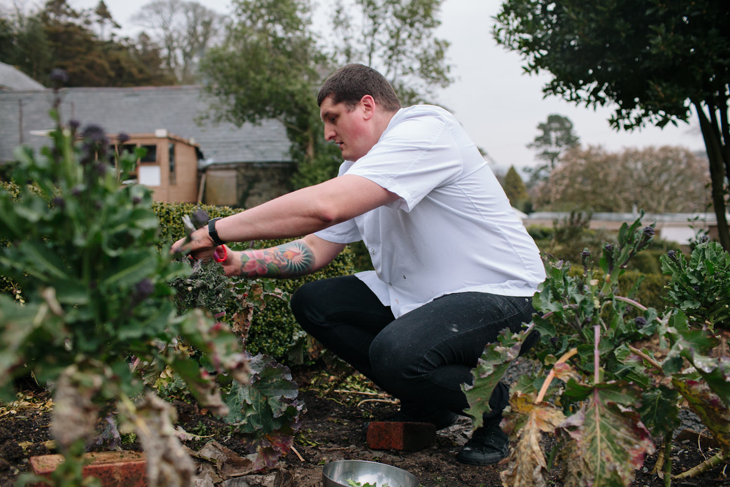 Growing for it | The Good Food Guide