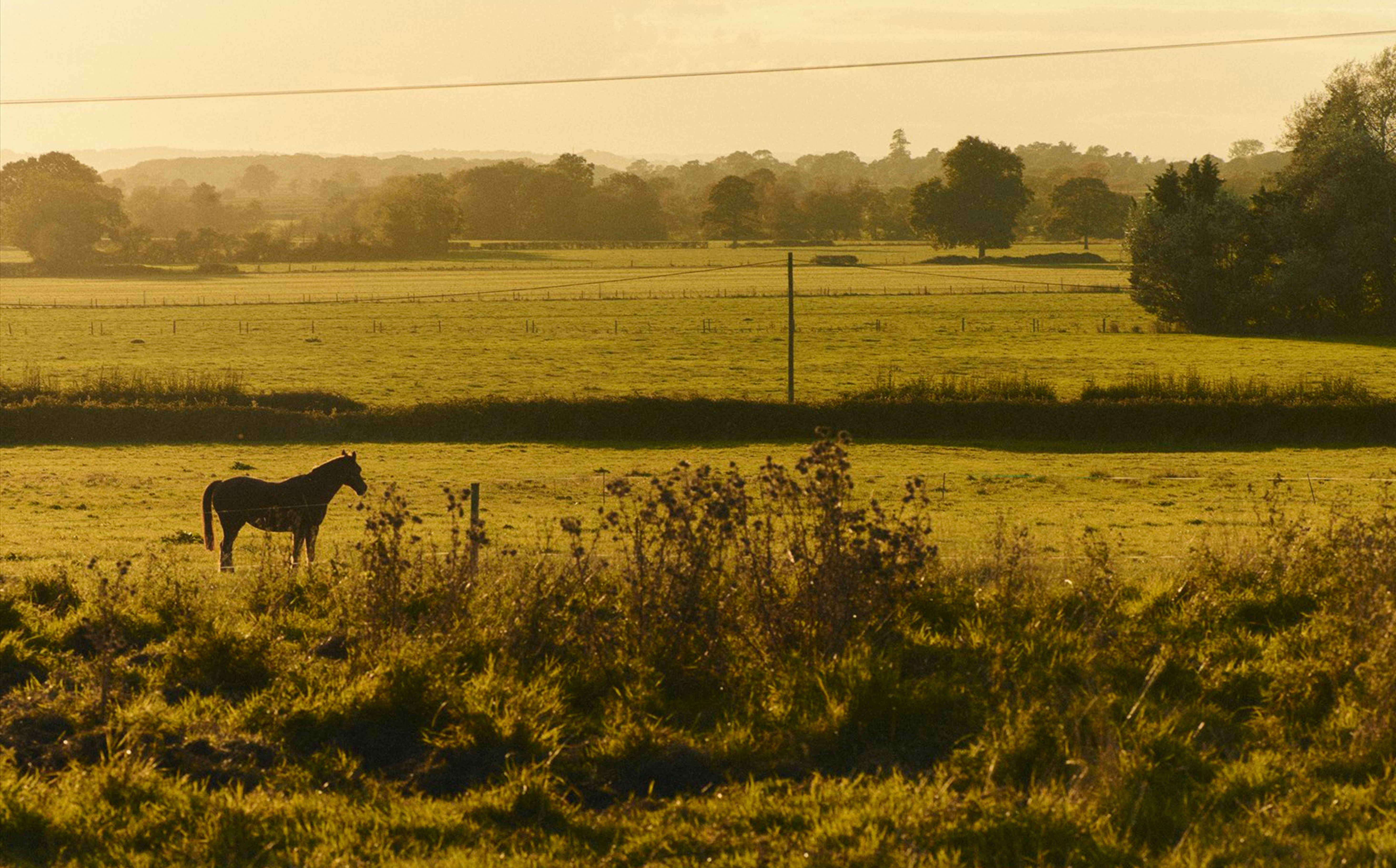 Where to eat on working farms: 15 great restaurants and cafés 2025 ...