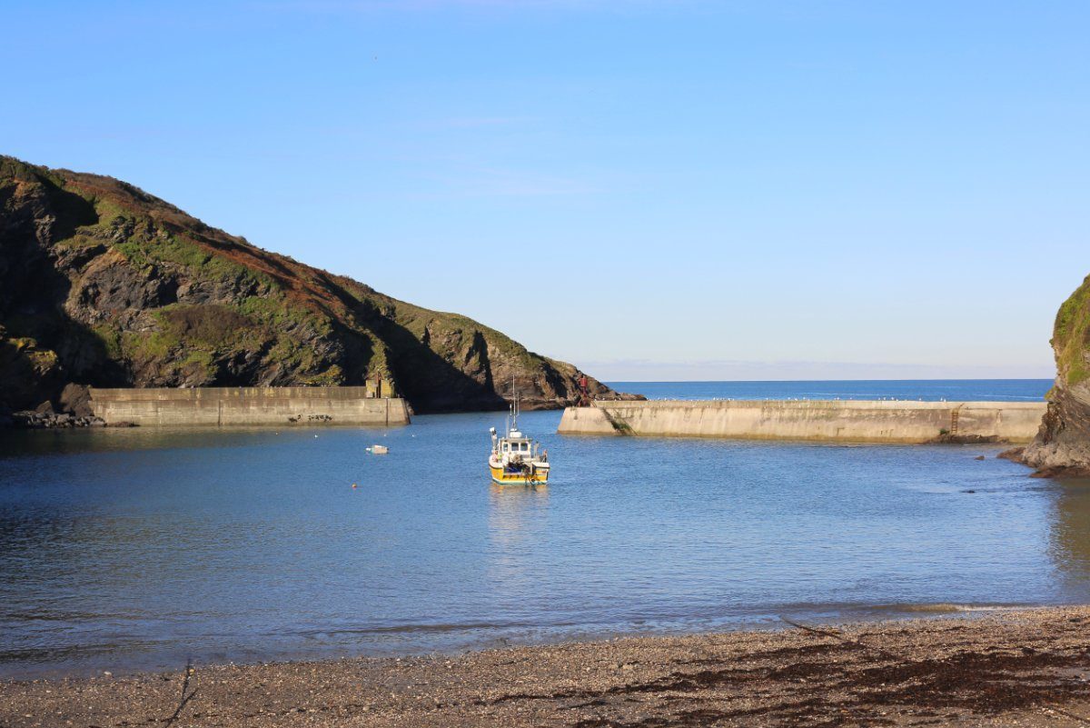Cornish catch: Nathan Outlaw on the return of bluefin tuna and the ...
