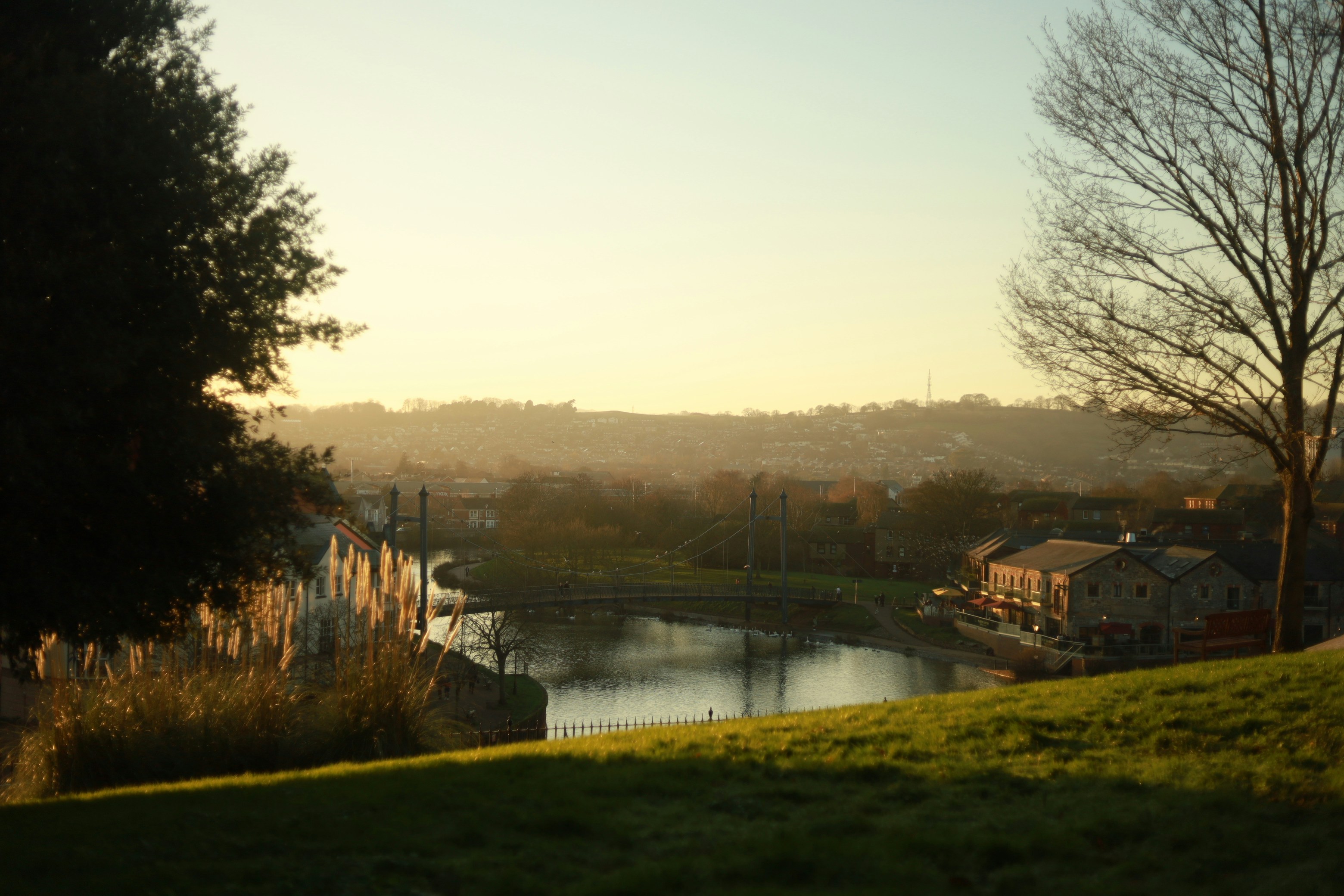 Where to eat in Devon 2024 | Where To Eat | The Good Food Guide
